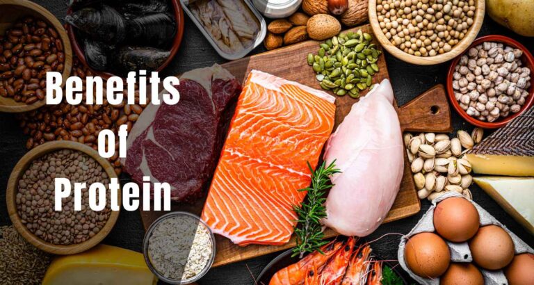 Discover What Are the Benefits of Protein Now